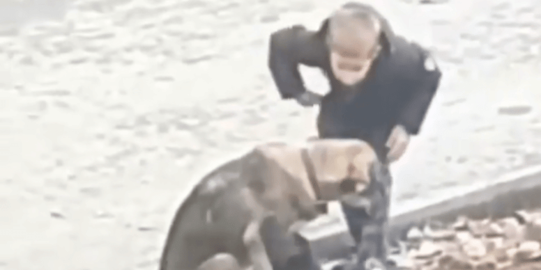 When he believes no one is watching, this young lad goes up to two ...