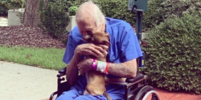 Owner searches everywhere for lost dog: CCTV footage reveals the ...