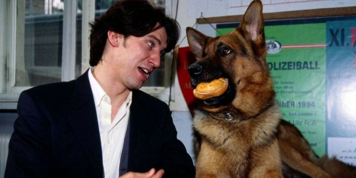 Perros famosos de la televisión: razas, nombres y curiosidades